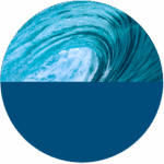 Portfolio - Crosspoint Capital