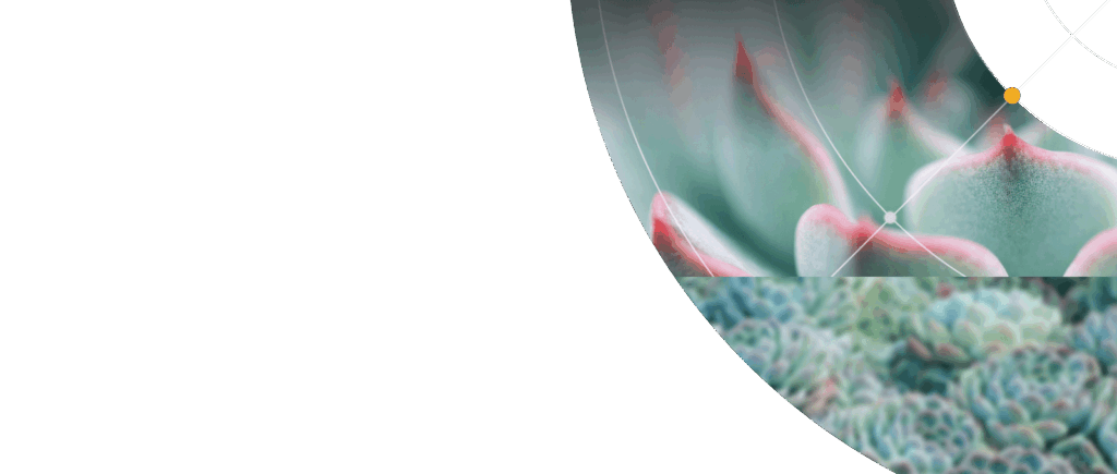 Portfolio - Crosspoint Capital