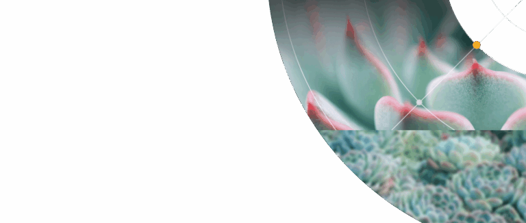 Portfolio - Crosspoint Capital